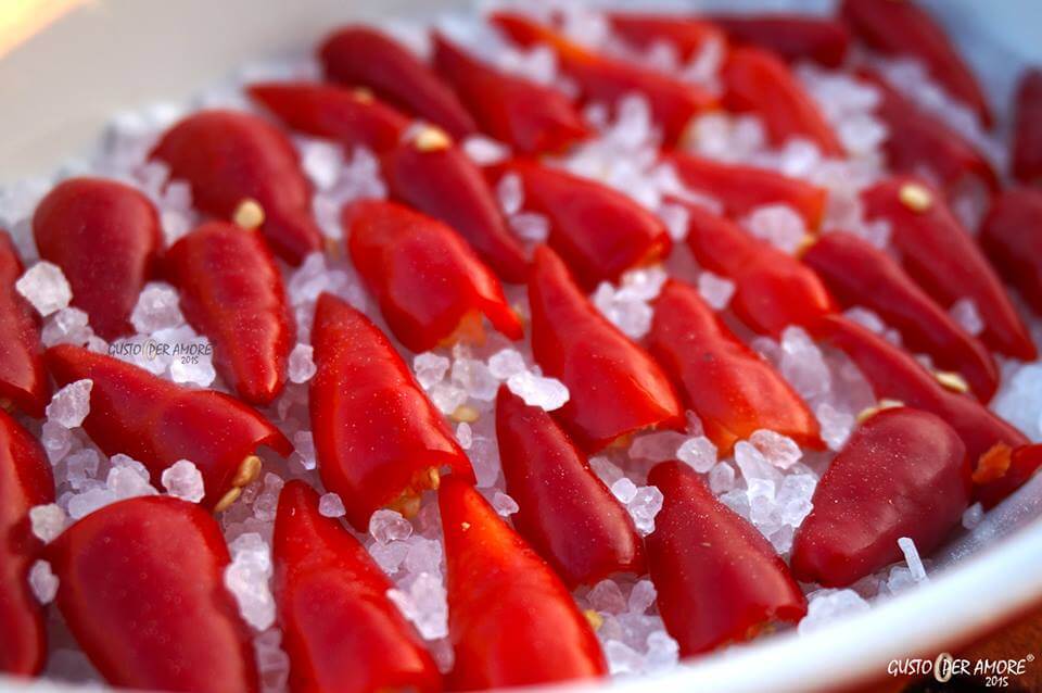 PRESERVING FRESH CHILLI - Mr Chilli Awards